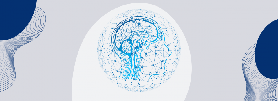 Researchers discover the neural mechanism of action timing | BCS | NYU Shanghai
