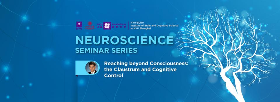 Reaching beyond consciousness: the claustrum and cognitive control | BCS | NYU Shanghai