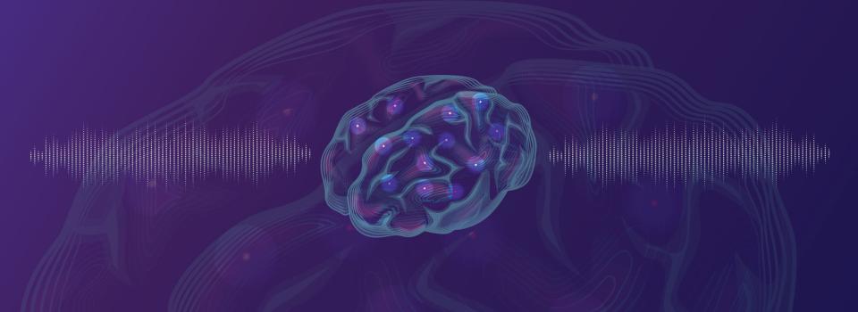 Researchers Reveal the Neural Mechanism of Antidepressants’ Effect on Hearing | BCS | NYU Shanghai